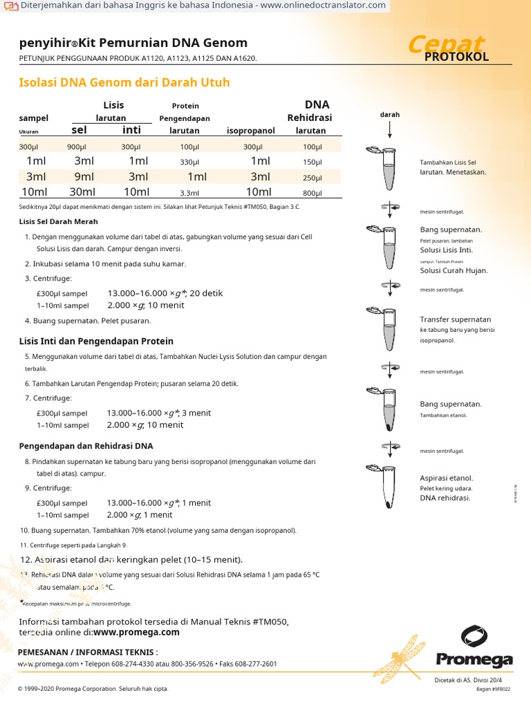 Wizard Genomic Dna Purification Kit Quick Protocol - En.id - En.id | PDF