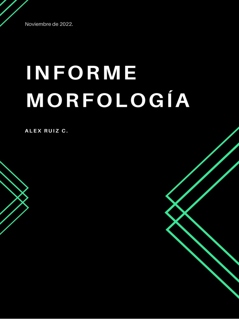 Alex Ruiz - Informe | PDF | Diseño | Percepción visual