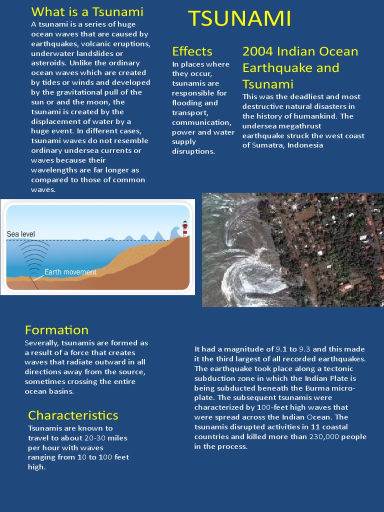 Tsunami | PDF