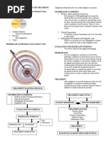 Modified Bass Toothbrushing Technique Guide | PDF | Oral Hygiene ...