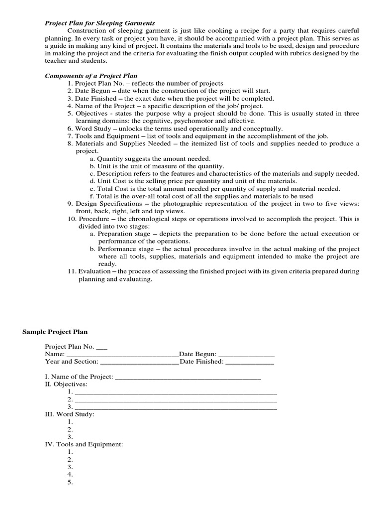 Project Plan | PDF | Rubric (Academic) | Cognitive Science
