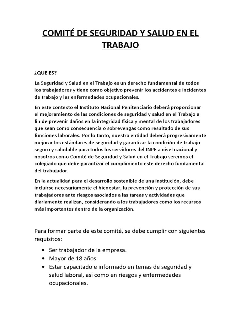 Comité de Seguridad y Salud en El Trabajo | PDF