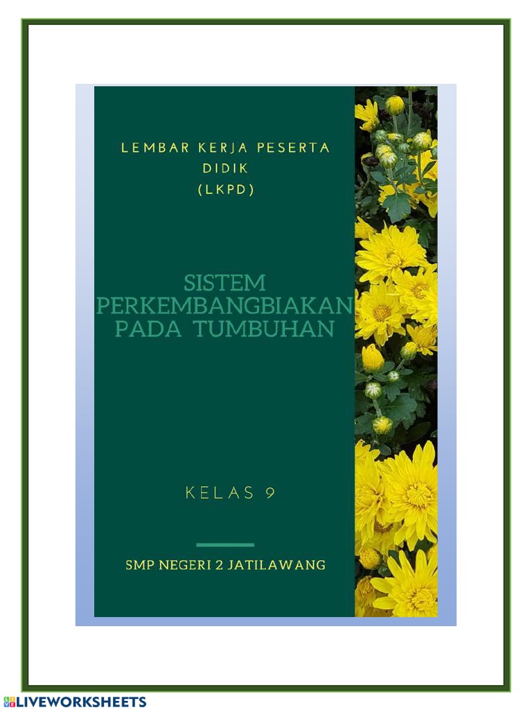 LKPD Sistem Tumbuhan | PDF