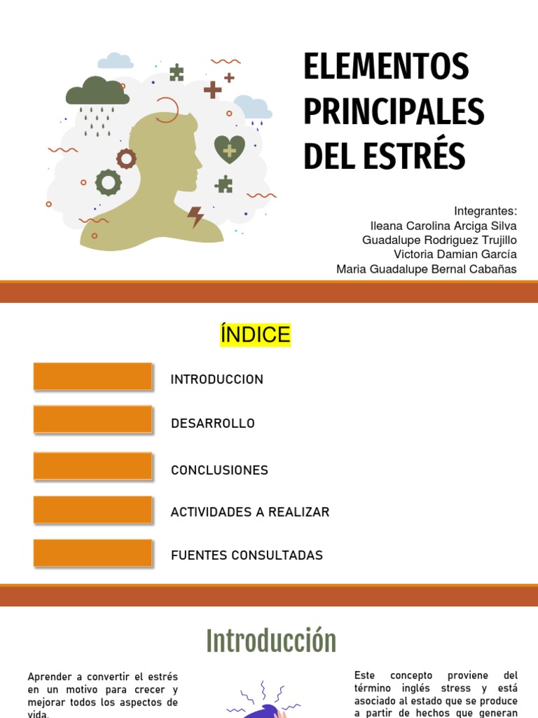 Elementos Del Manejo Del Estres | PDF | Estrés (biología) | Ansiedad