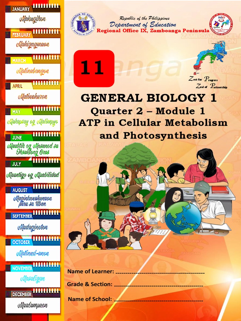 GenBio Q2 M1 | PDF | Adenosine Triphosphate | Adenosine Diphosphate