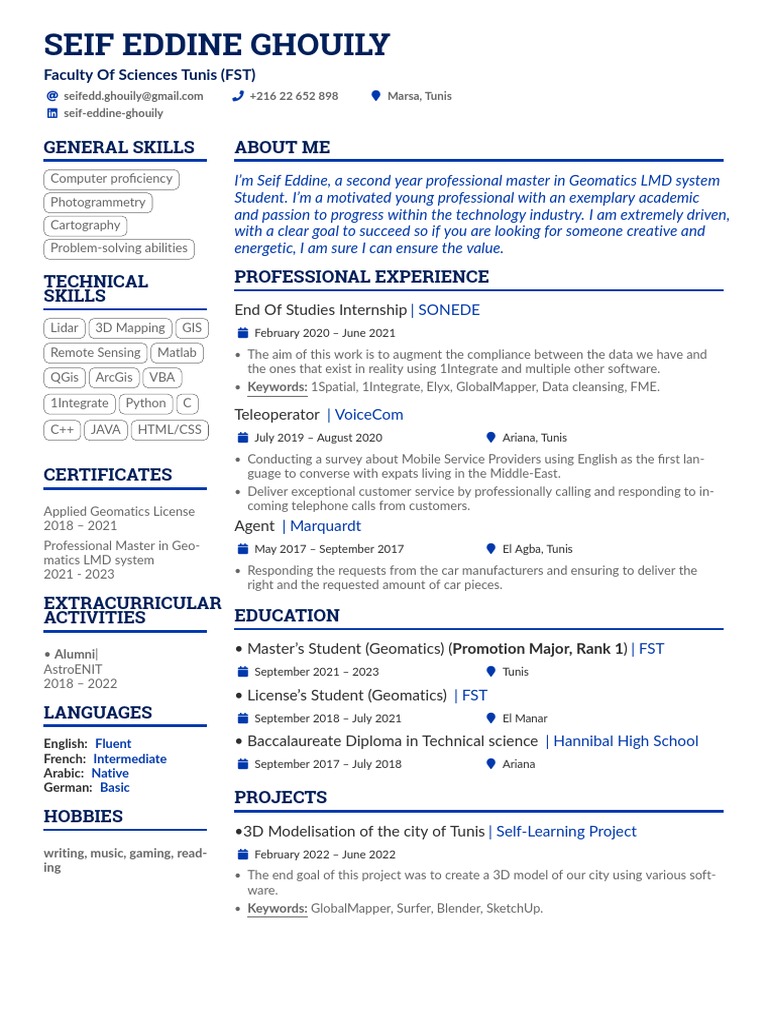 Seif English Resume | Download Free PDF | Geomatics | Computing