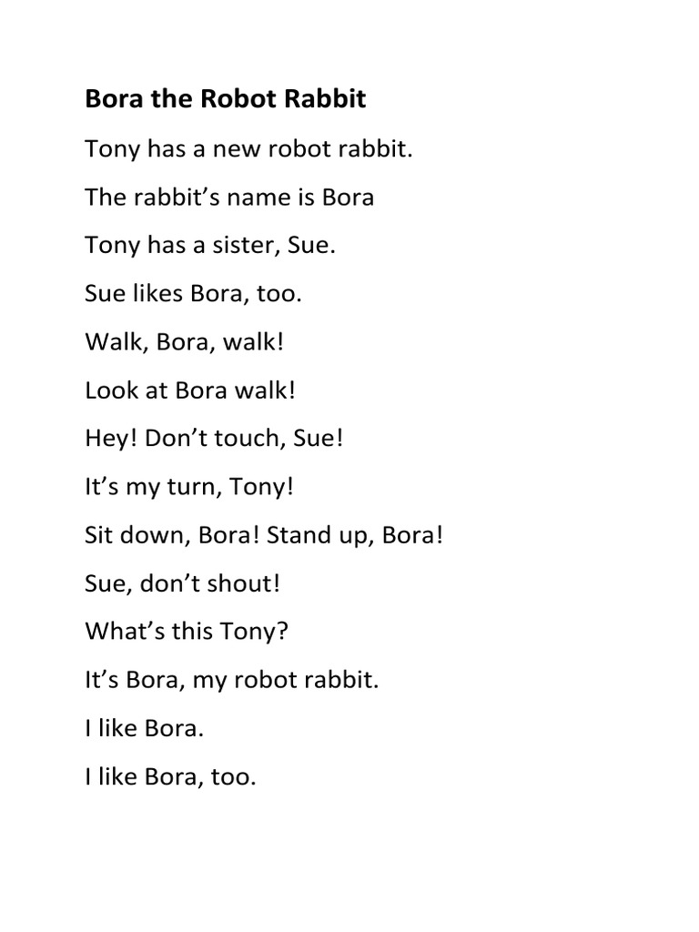 Bora The Robot Rabbit | PDF