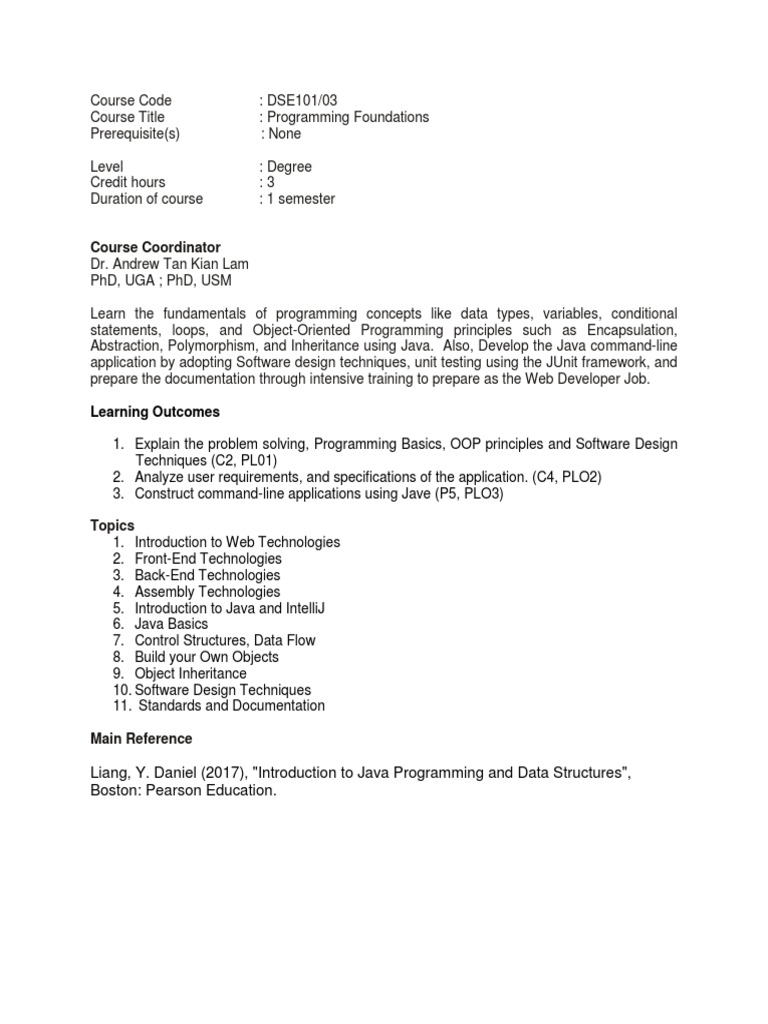 DSE101 - 03 Programming Foundations | PDF