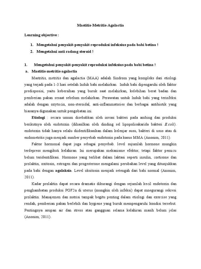 MMA | PDF