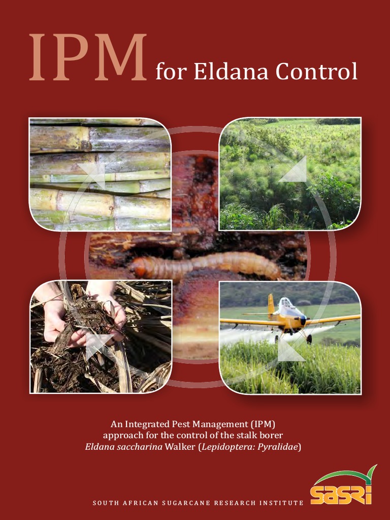 BM - IPM For Eldana | PDF | Pupa | Agriculture