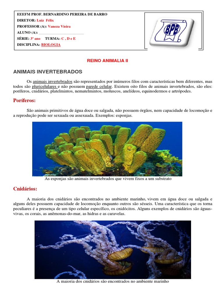 Classificação dos principais filos de animais invertebrados | PDF ...