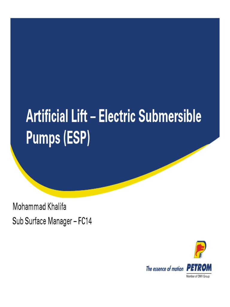 Artificial Lift Electric Submersible Pumps (ESP) May 2010 (Compatibility Mode) | PDF ...