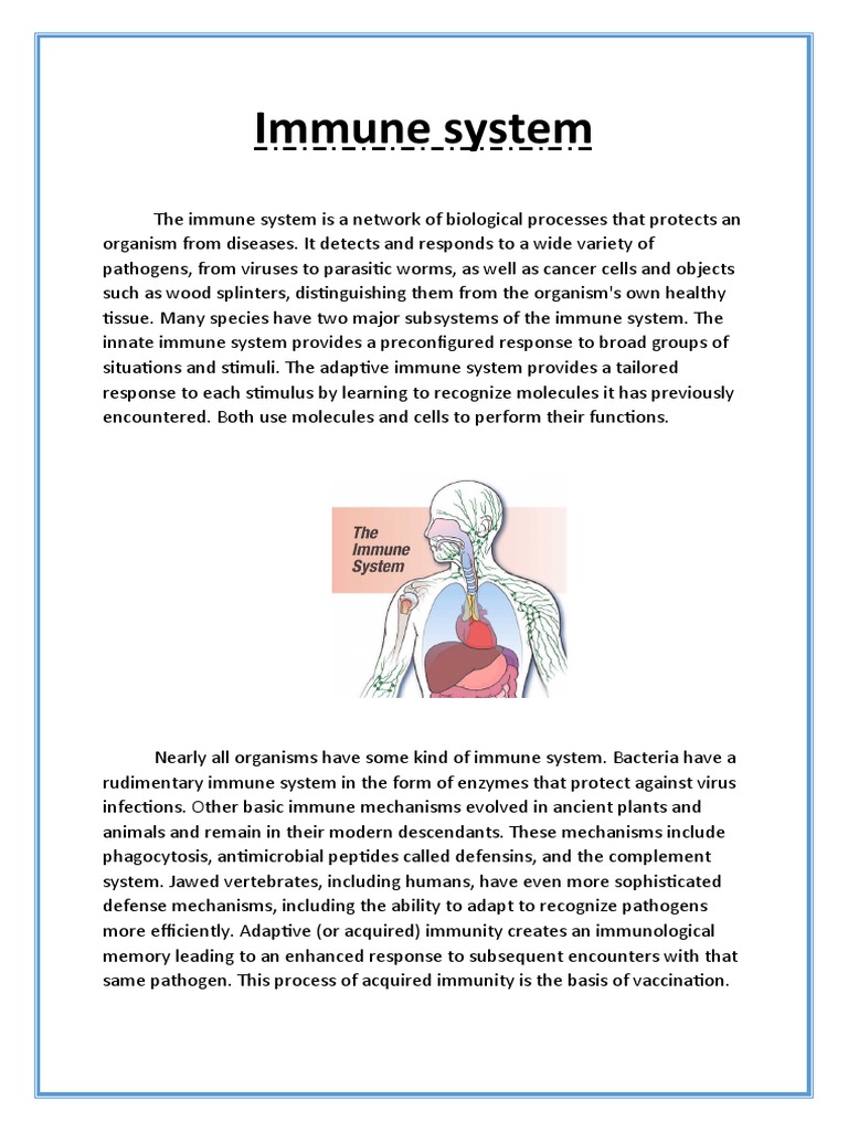 Immune System Project | PDF | Immune System | Innate Immune System