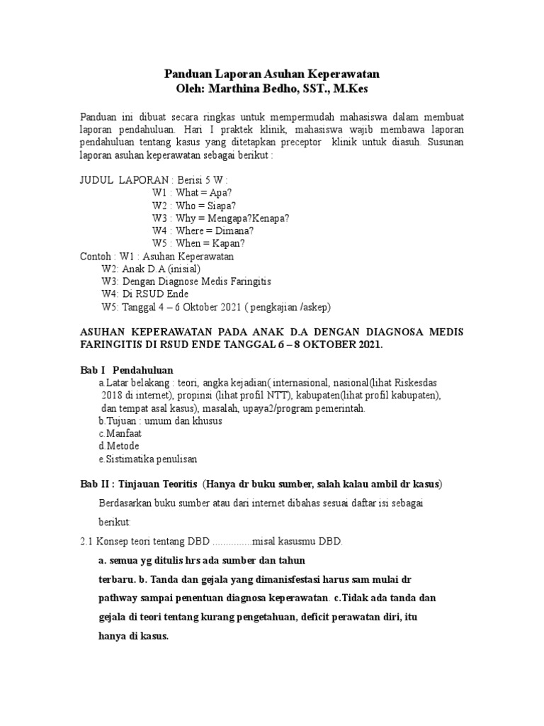 Panduan Laporan Asuhan Keperawatan | PDF