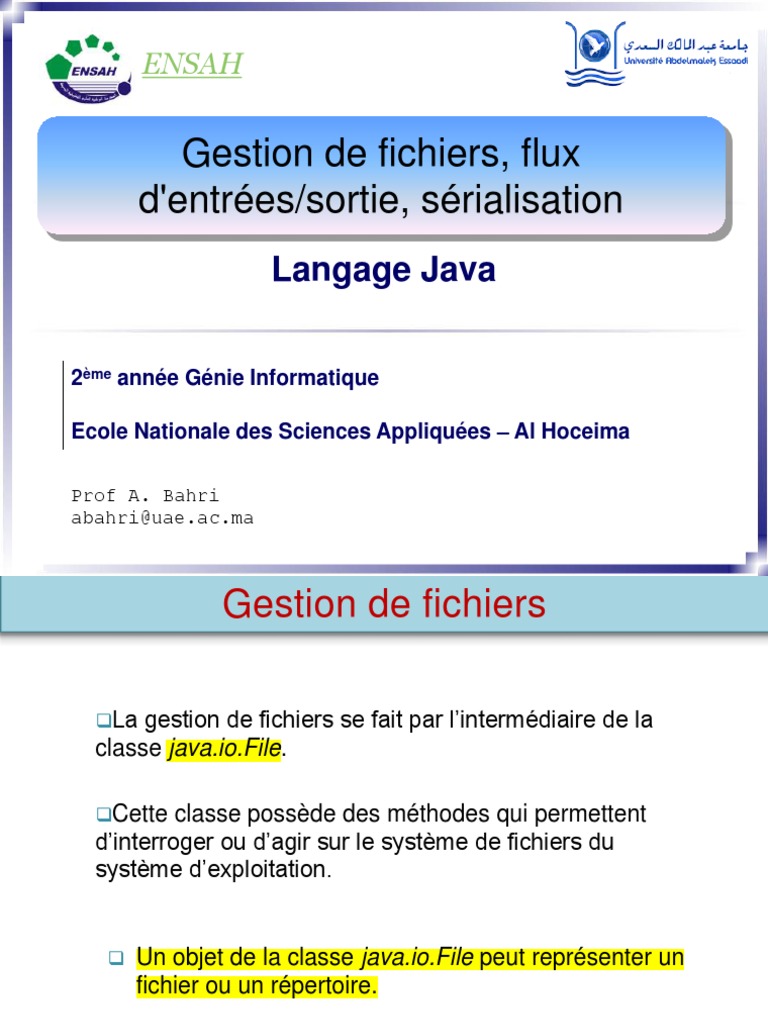 Cours 5 + Gestion Des Fichiers (Enregistrement Automatique) | PDF