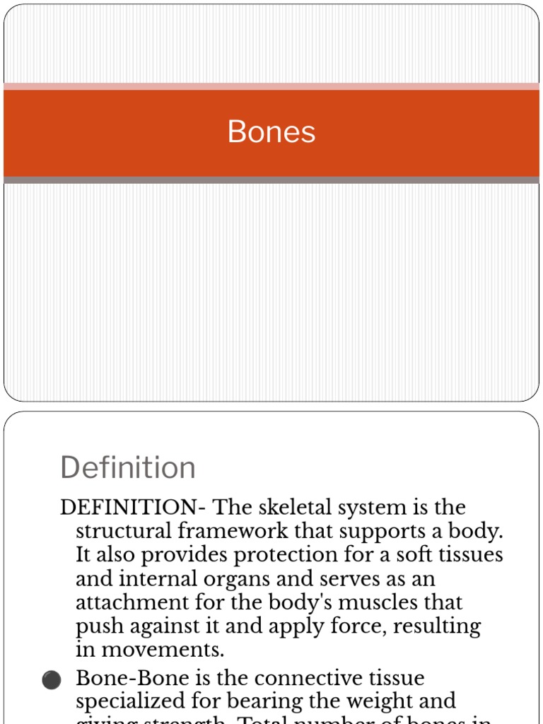 Bones Anatomy | PDF | Bone | Skeletal System