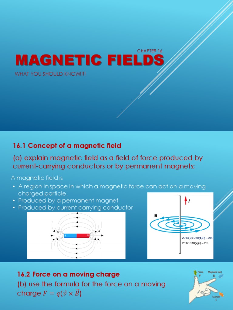 16 Magnetic Fields | PDF | Magnetic Field | Force
