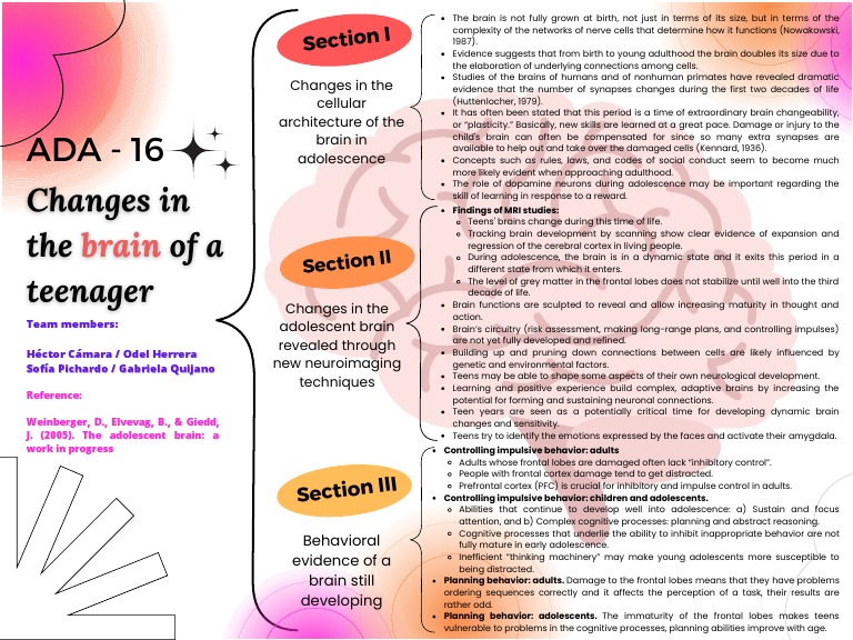 Adolescent Brain Development Insights | PDF | Brain | Adolescence