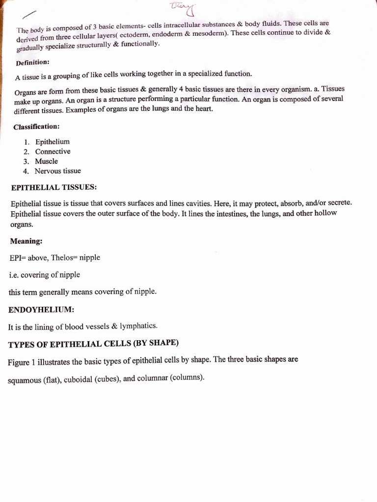 Cell & Tissue Notes | PDF