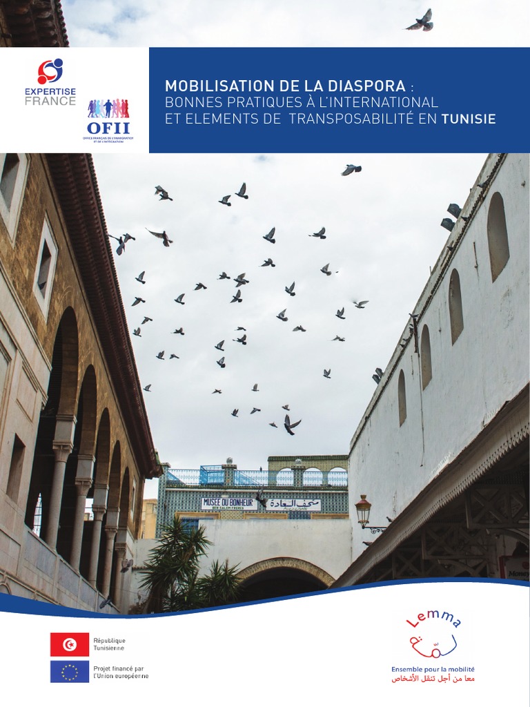 Etude Lemma C2-Benchmark Inter MobilisationDiaspora | PDF | Tunisie | Union européenne