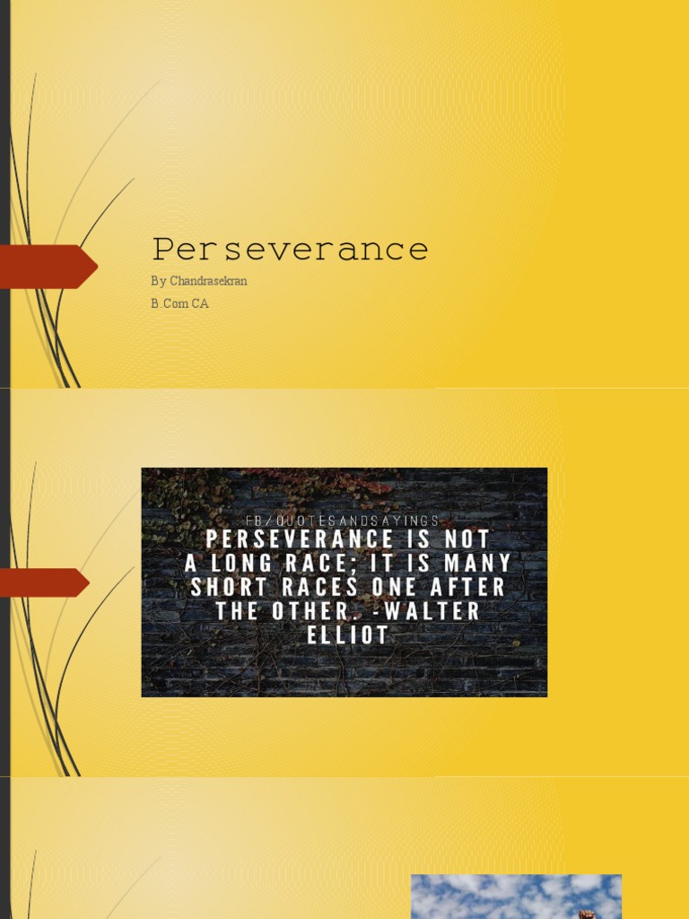 Perseverance | PDF