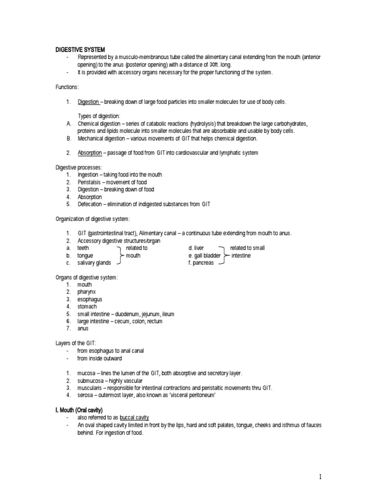 Digestive System Ana | PDF | Gastrointestinal Tract | Digestion
