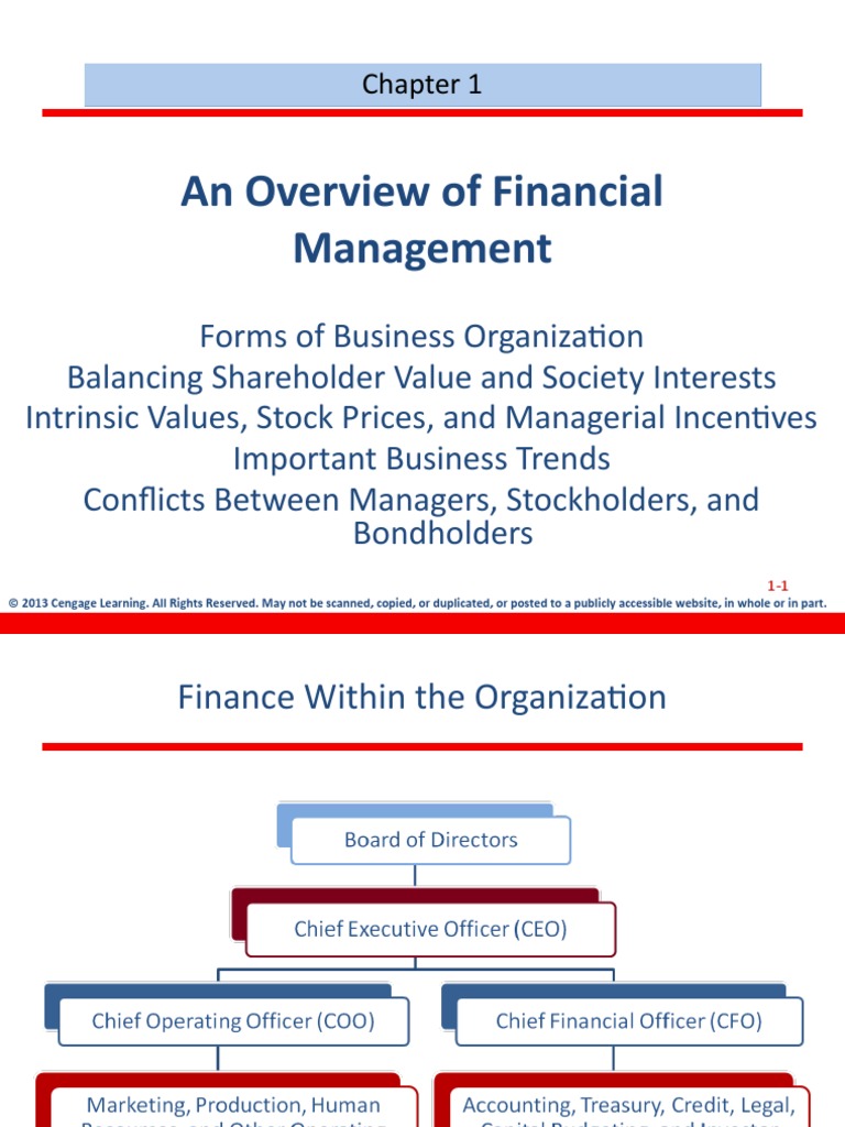 BH FFM13 PPT ch01 | PDF | Stocks | Limited Liability Company