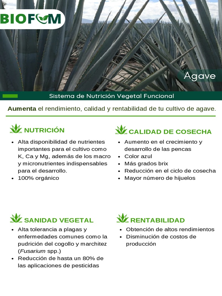 Tratamiento Agave BIOFOM | PDF