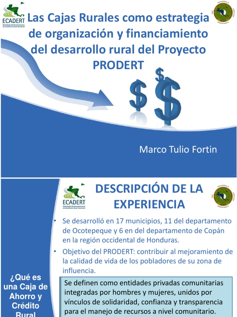 Panel 3 - La Experiencia de Las Cajas Rurales en El Occidente de ...
