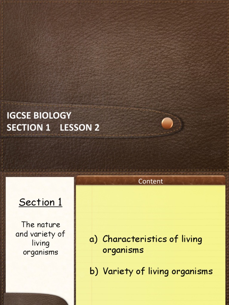 IGCSE Biology Section 1 Lesson 2 | PDF | Fungus | Plants
