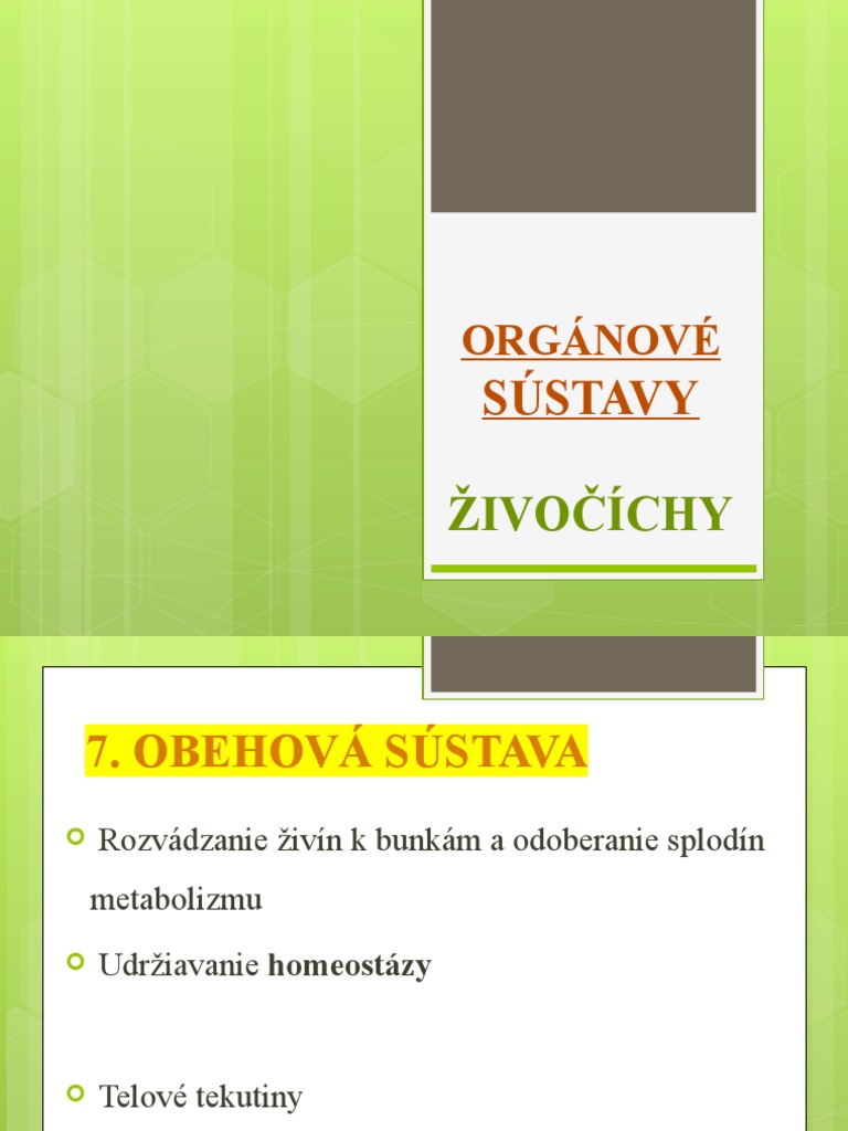 Orgã Novã Sã Stavy Os+hs+ns 2 | PDF