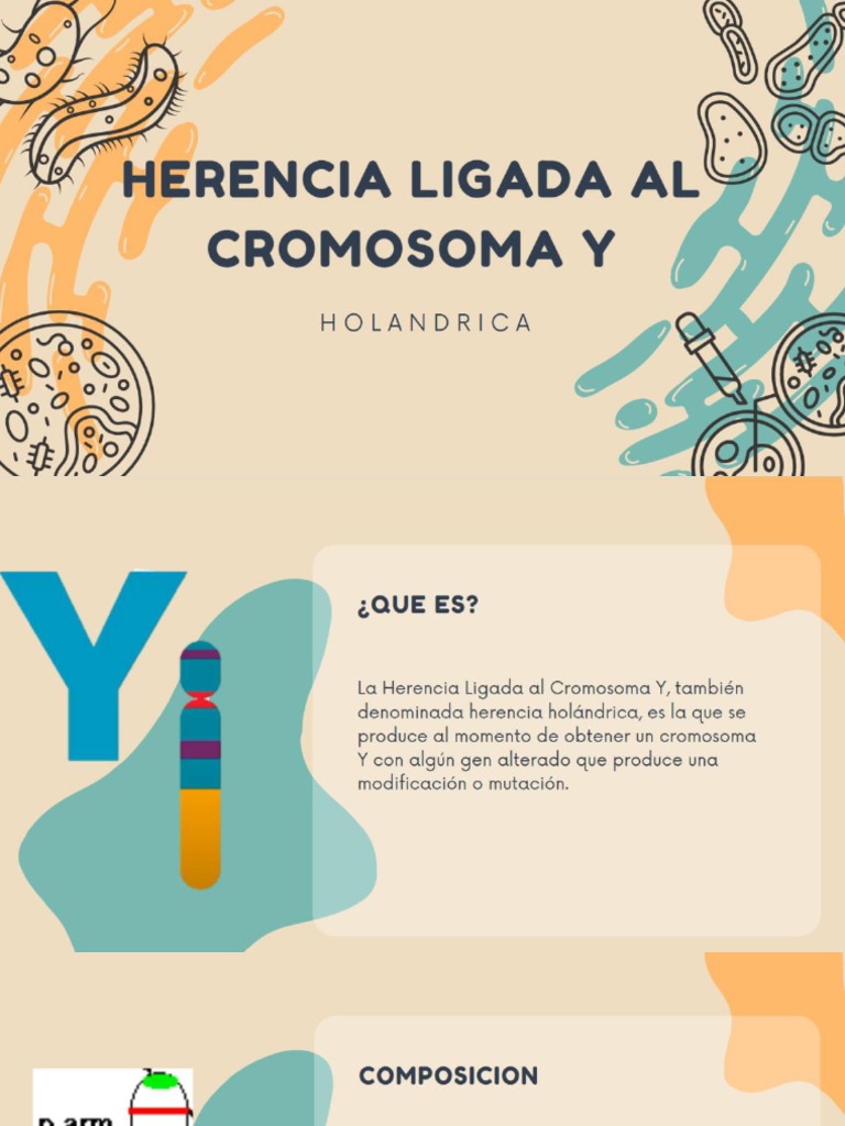 Herencia Ligada Al Cromosoma Y | PDF