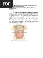 4 Kuadran Dan 9 Regio Pada Abdomen | PDF