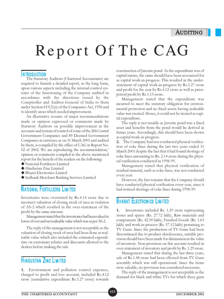 CAG Audit Findings on Government Companies | PDF | Technology & Engineering