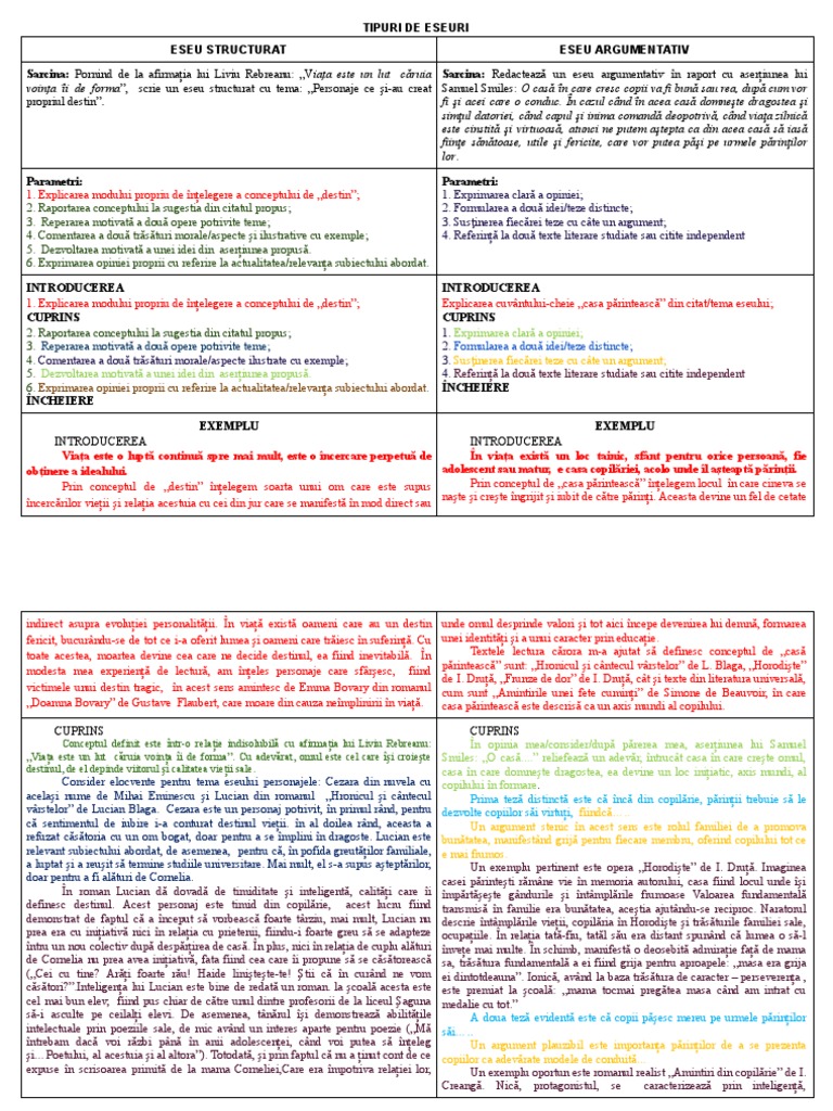 Tipuri de Eseuri | PDF