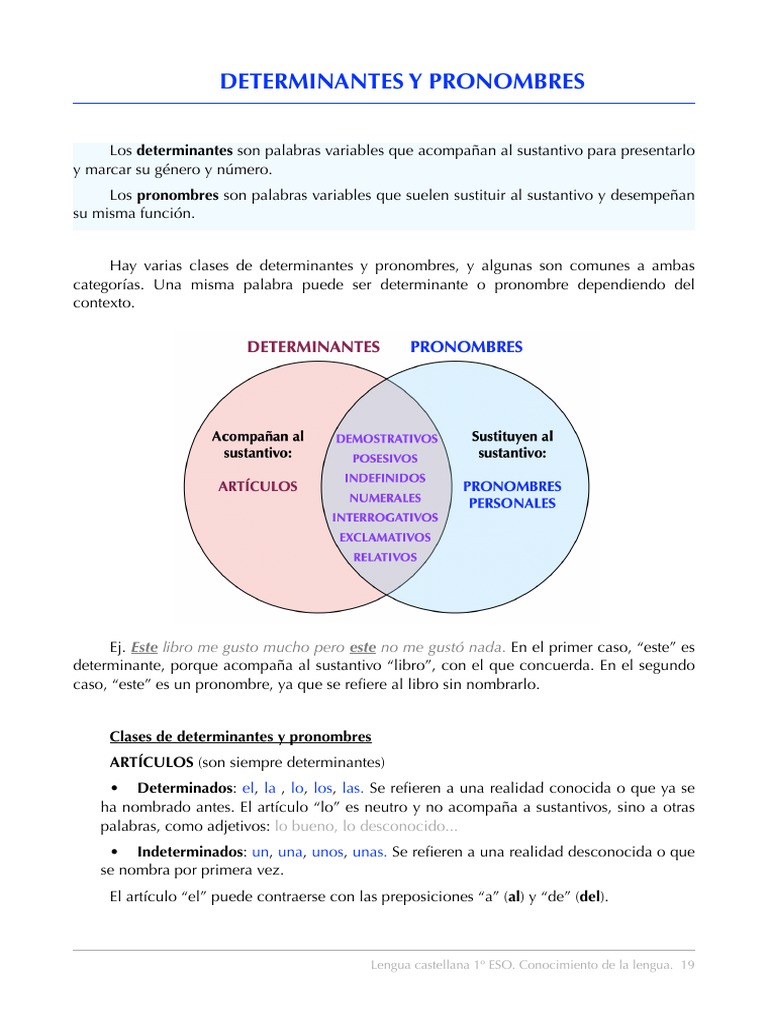 Determinantes y Pronombres - 1ºESO | PDF | Género gramatical | Unidades ...
