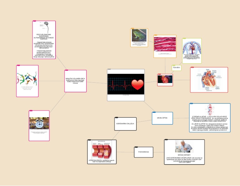 Rako Gospić - Umna Mapa - Otkucaji Srca | PDF