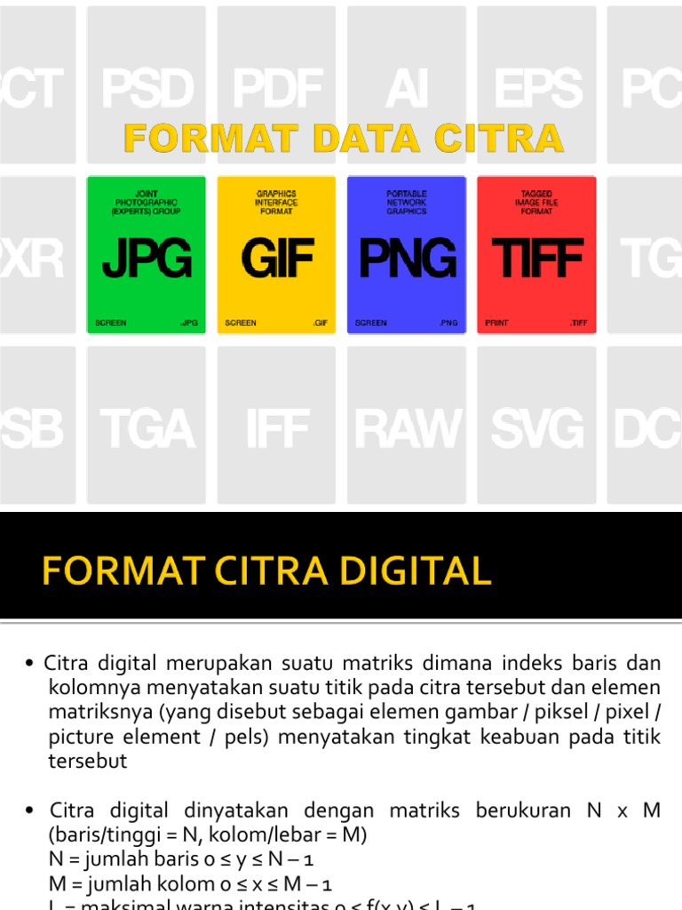 Format dan Ukuran Citra Digital | PDF
