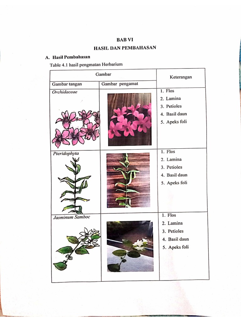 Gambar Unit - 3 | PDF