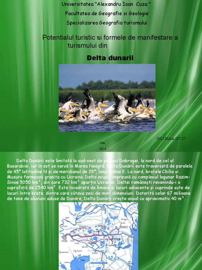 Delta Dunarii Proiect | PDF