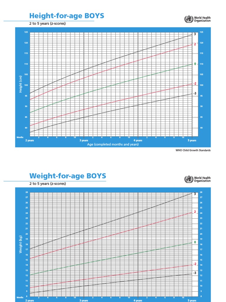 Boys - Z-Score 2 | PDF