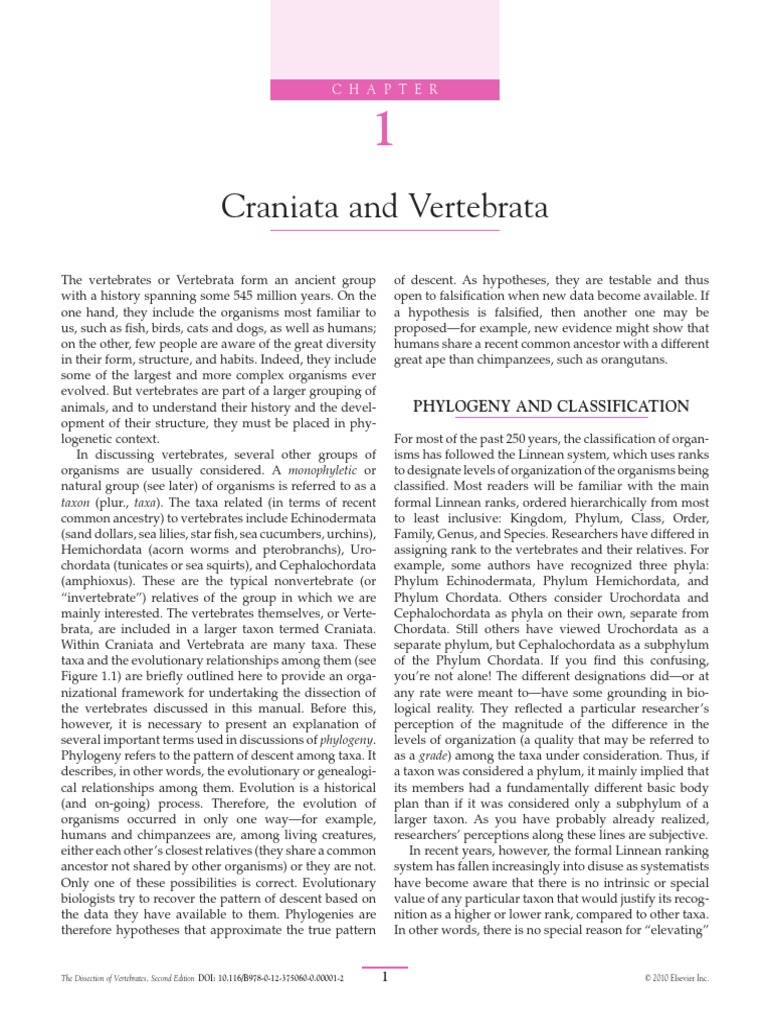 02 Chapter 1 | PDF | Vertebrates | Chordates