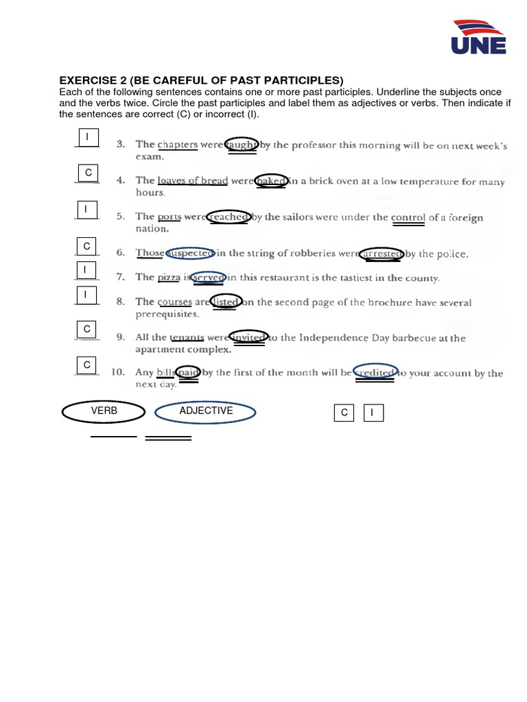 Past Participles Exercise Guide | PDF