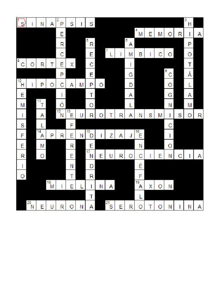 Crucigrama Sistema Nervioso | PDF