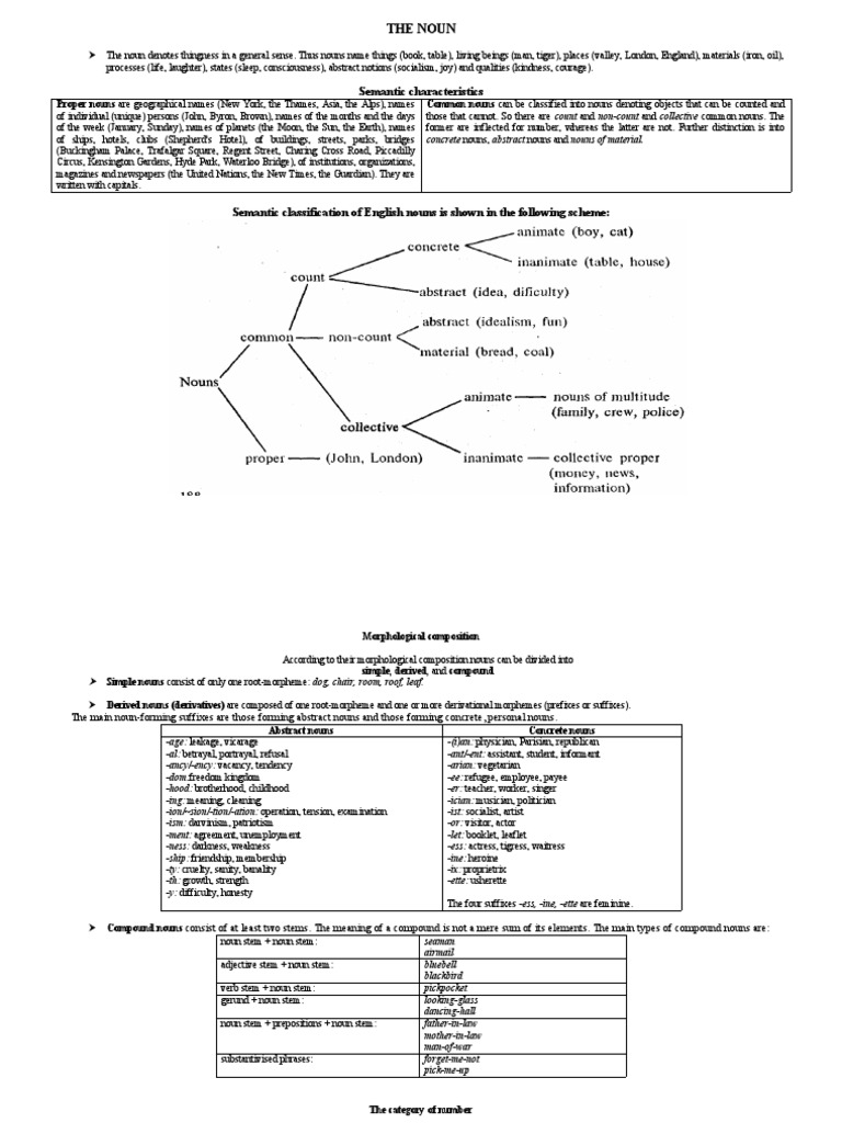 THE NOUN - Theory | PDF | Noun | Plural