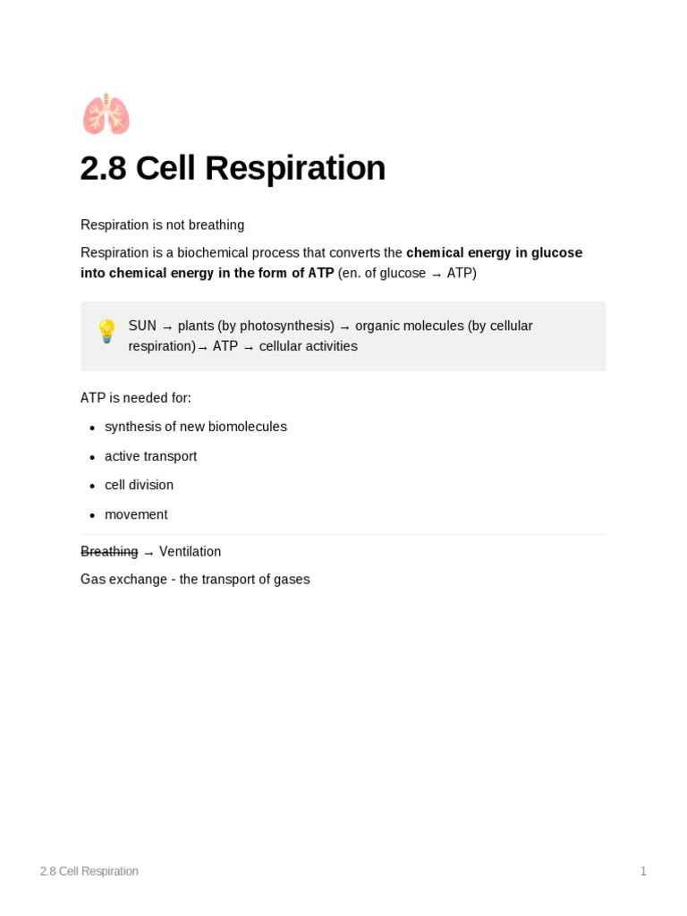 Cell Respiration Notes | PDF | Cellular Respiration | Adenosine ...