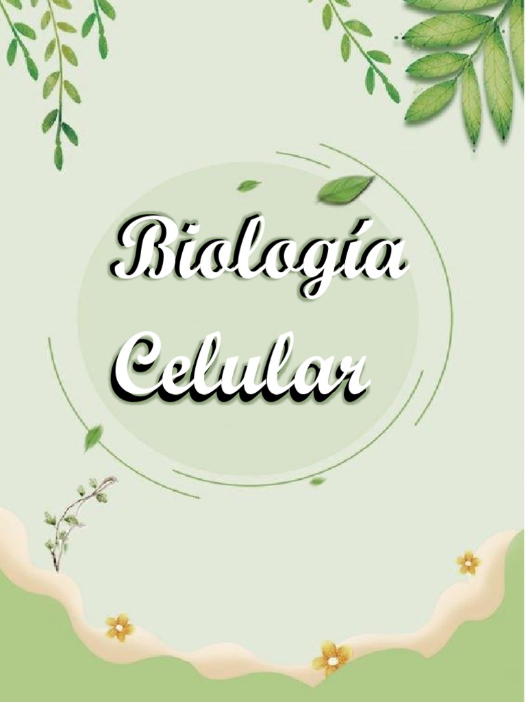 Equipo5 Mitosis | PDF