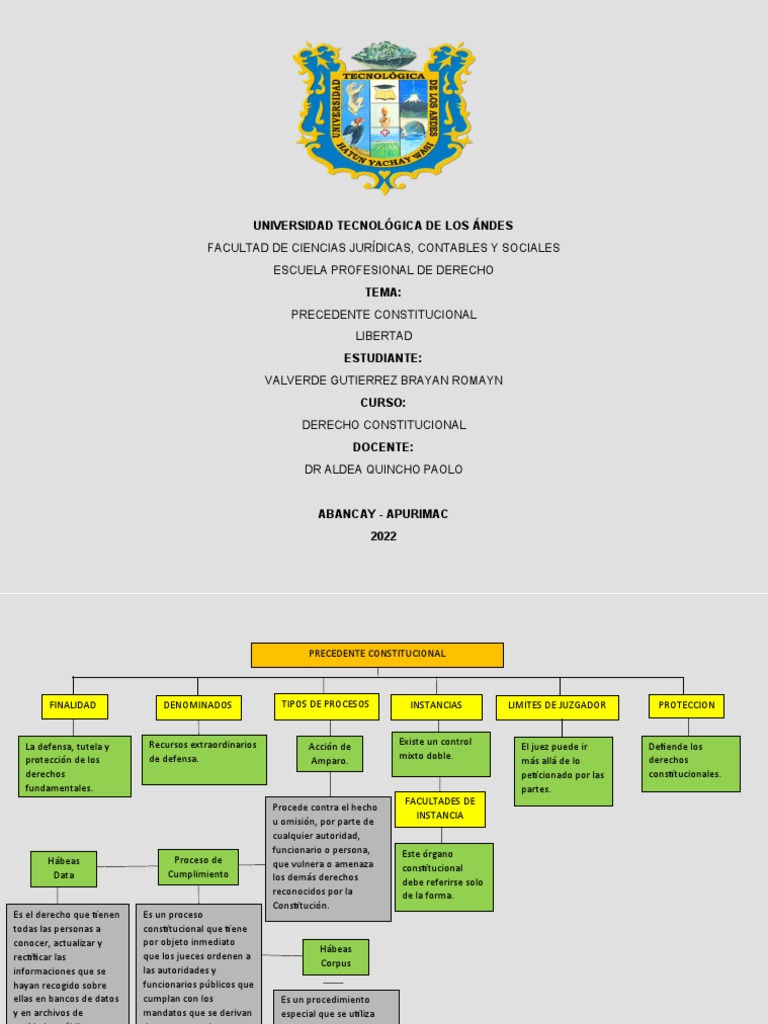Procesos Constitucionales De La Libertad Pdf Constitución