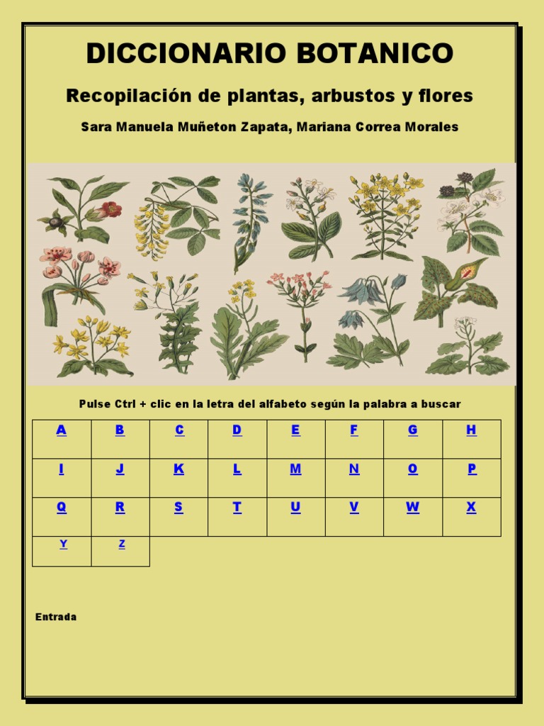 Diccionario Botanico | PDF | Plantas | Botánica