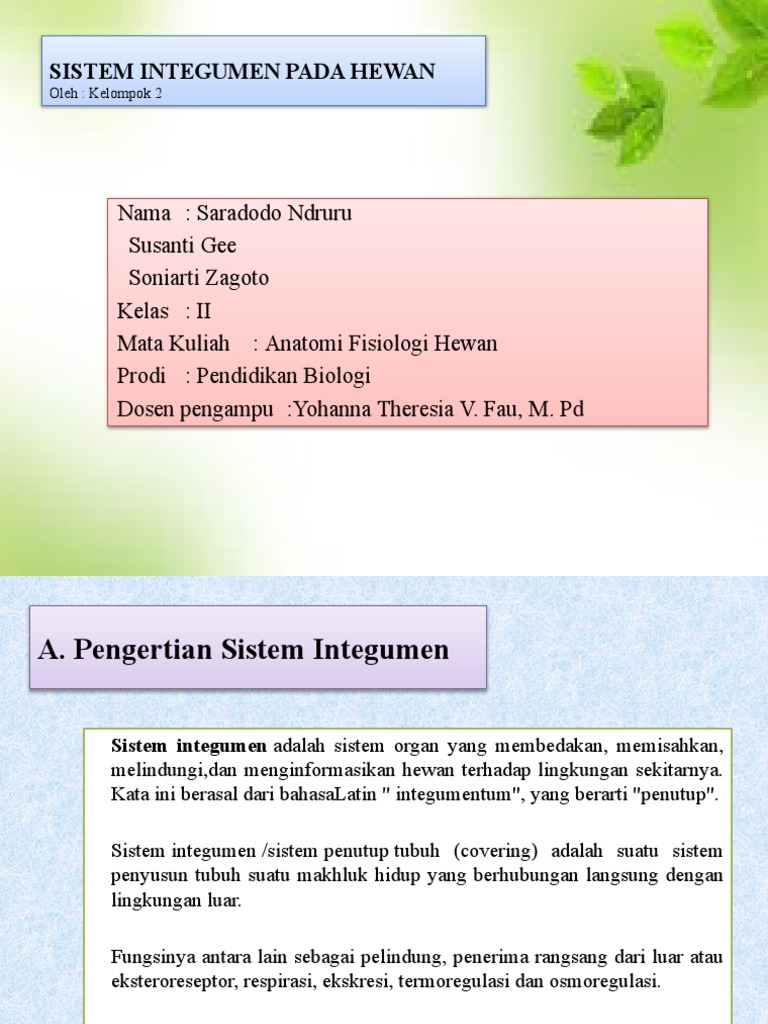 Sistem Integumen | PDF | Sains & Matematika